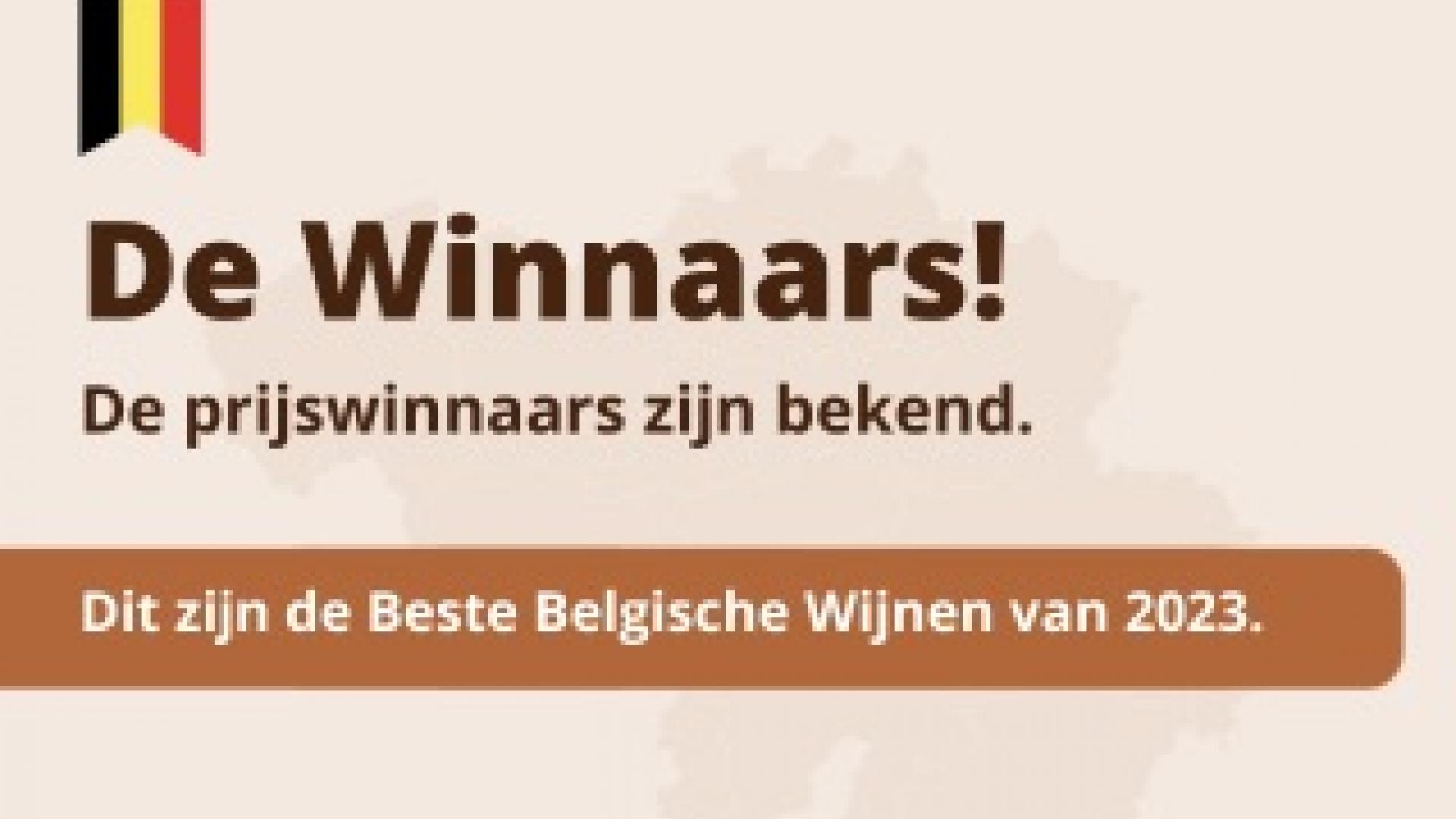 Beste Belgische Wijnen van het Jaar 2023 | Belartisan Beste Belgische Wijnen van het Jaar 2023 | Belartisan